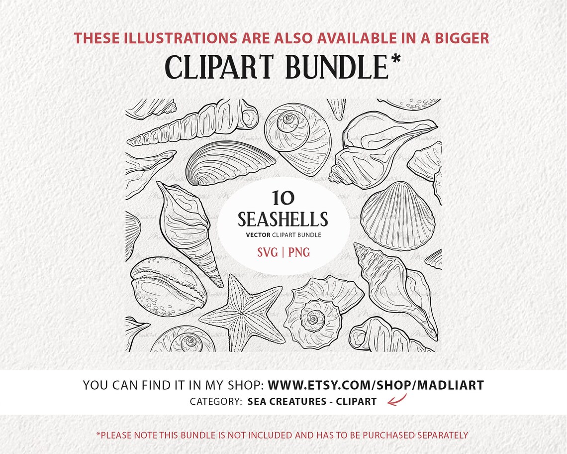 Seashell SVG Clipart. Ocean Themed Vector Line (Instant Download) - Etsy