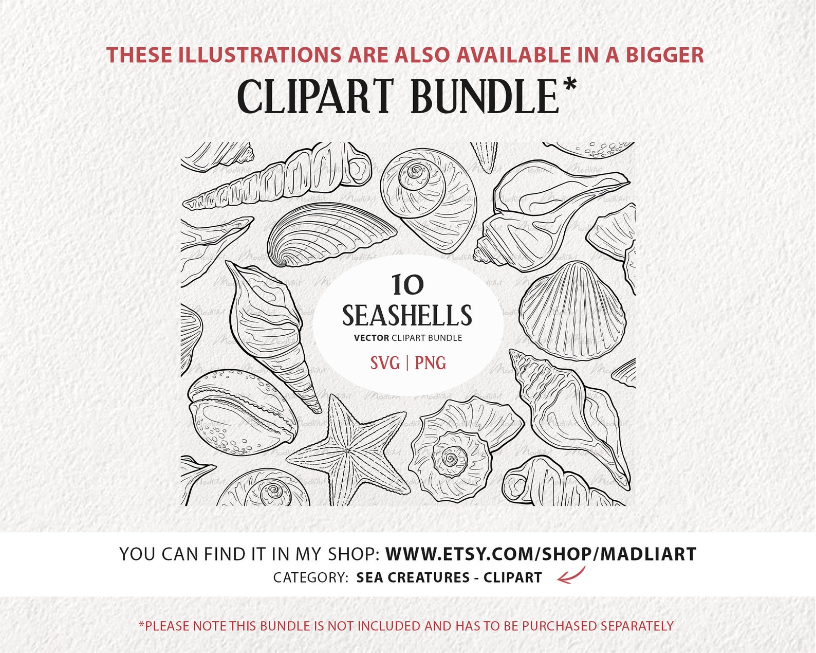 Seashell SVG Clipart. Ocean Themed Vector Line (Instant Download) - Etsy