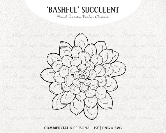 Bashful Succulent SVG Clipart. Desert Plant Vector Artwork. - Etsy