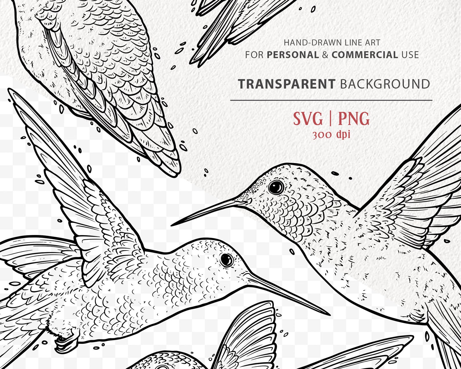 Hummingbird Vector Clipart Bundle. SVG and PNG Cut Files. - Etsy UK