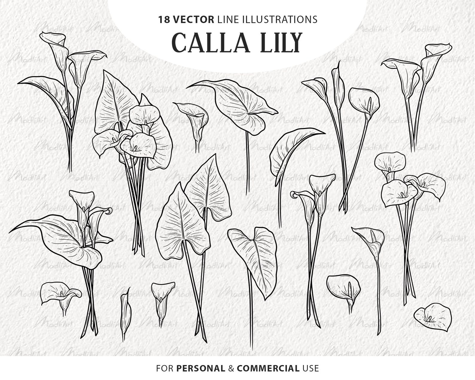 18 Calla Lily SVG Clipart Bundle. Spring Flower Vector - Etsy