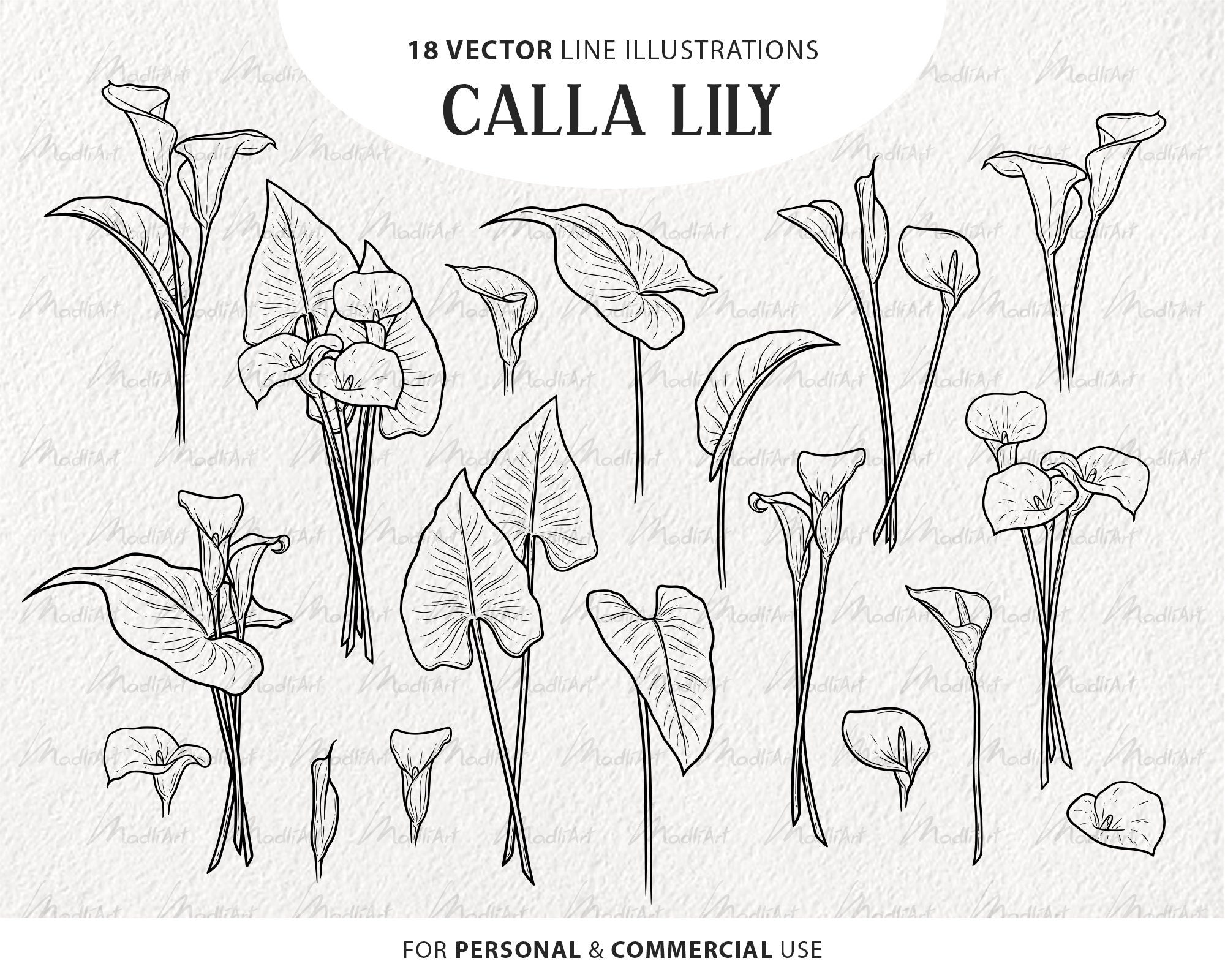 18 Calla Lily SVG Clipart Bundle. Spring Flower Vector - Etsy