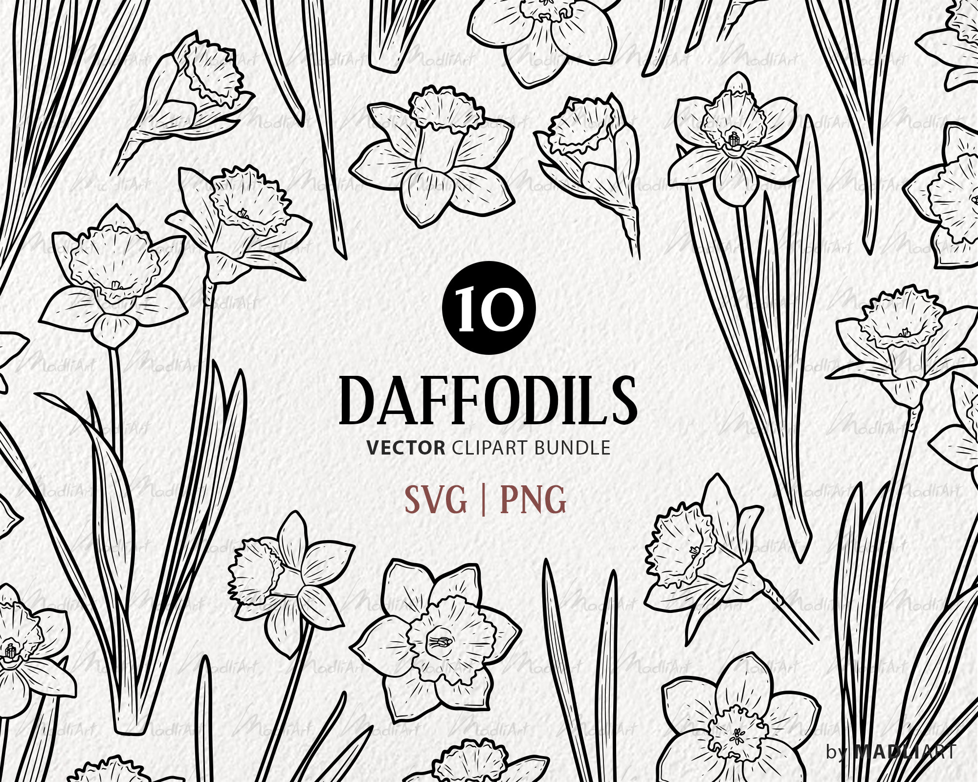 10 Daffodils SVG Clipart Bundle. Spring Daffodil Blossoms. Flower ...
