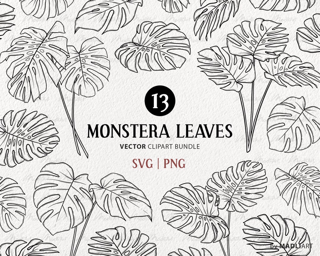 Monstera Leaf SVG Clipart Bundle. 13 Tropical Leaves. Botanical Vector ...
