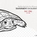 Pancake Tortoise SVG Clipart. Land Turtle Vector Artwork. Cute Turtle ...