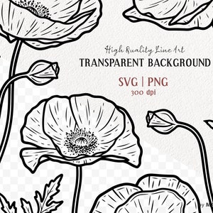 16 Poppy SVG Clipart Bundle. Poppy Vector Drawing. Wildflower Poppies ...