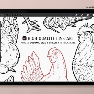 10 Chicken Procreate Stamps. Hen Rooster Tattoo Design. Baby Chick Line ...