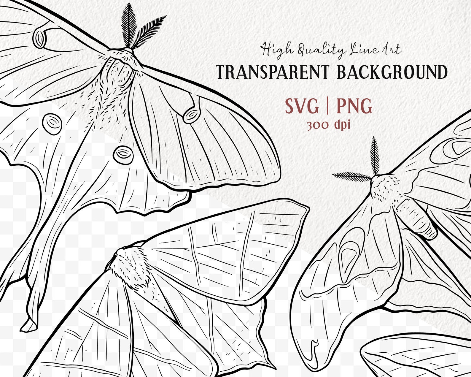 Moth Vector Clip Art Bundle. 8 Celestial Butterfly Stamps. - Etsy