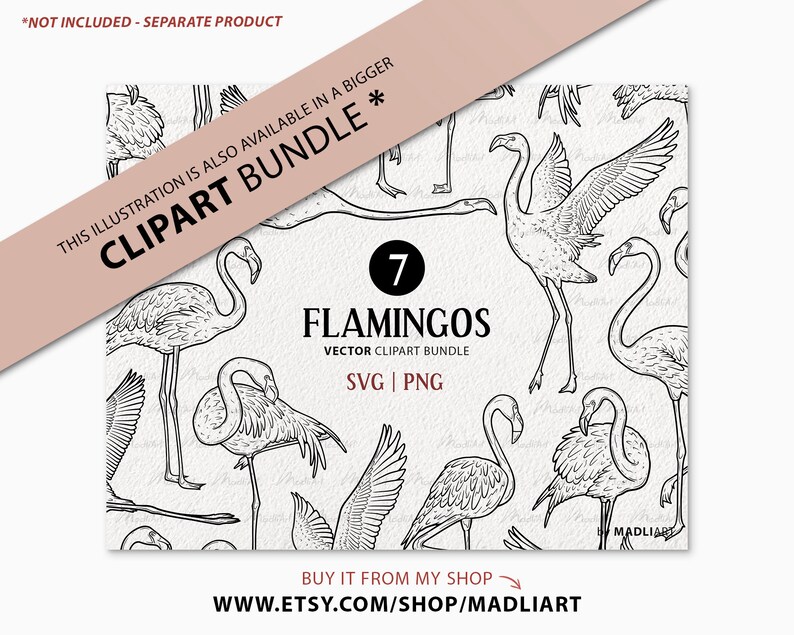 Flamingo Vector Clipart. Hawaii Bird SVG Outline. Tropical Flamingo ...
