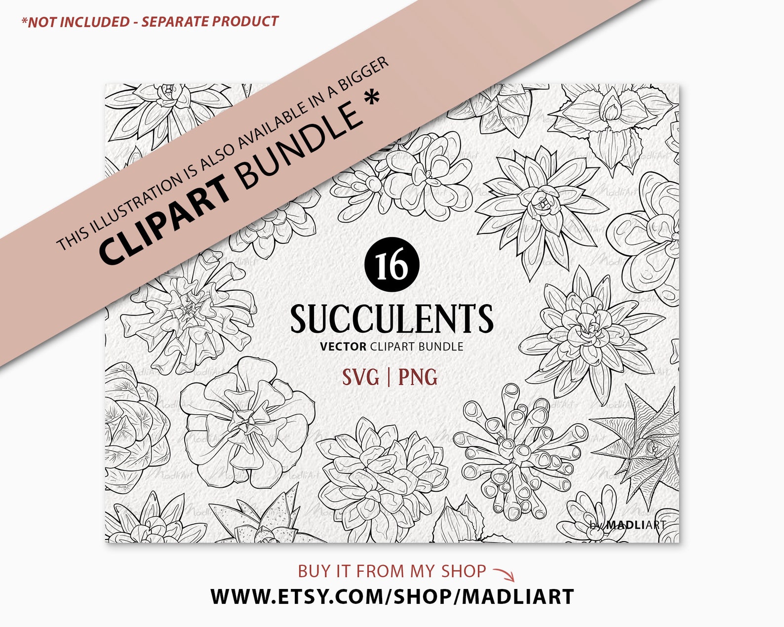 Lavender Pebbles Succulent SVG Clipart. Desert Plant Vector Artwork ...