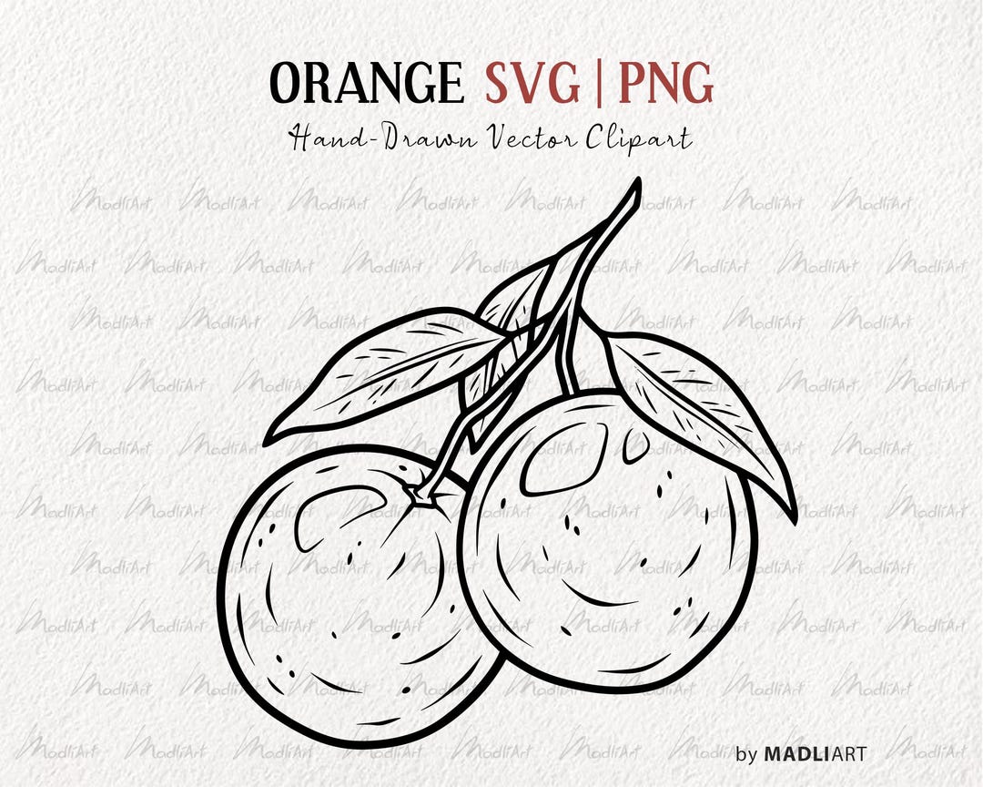Orange SVG Clipart. Orange Vector Line Drawing. Grapefruit, Mandarin ...