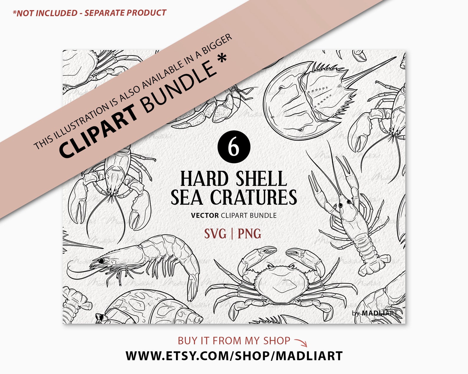 Hermit Crab SVG Clipart. Sea Creature Vector Line Drawing. Ocean Hard ...
