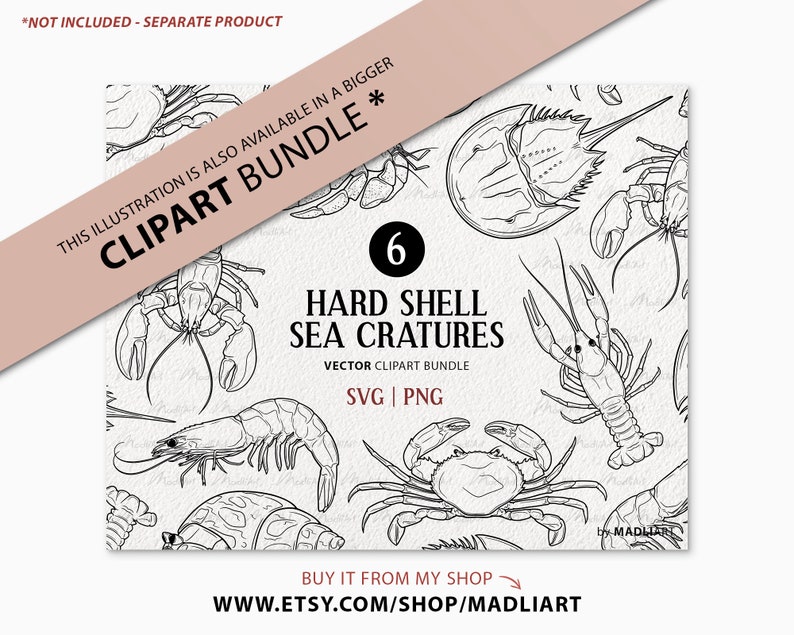 Hermit Crab SVG Clipart. Sea Creature Vector Line Drawing. Ocean Hard ...