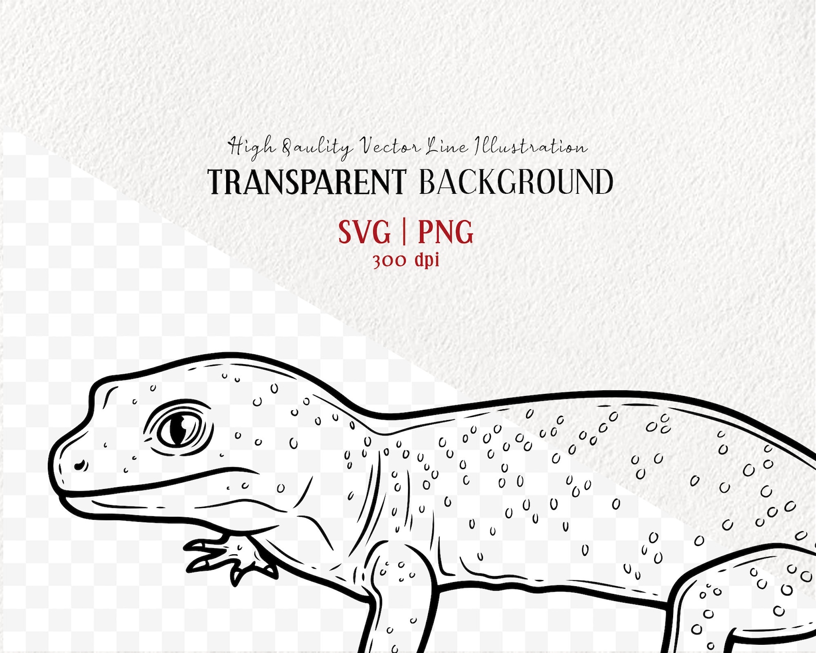 Gecko SVG Clipart. Lizard Vector Drawing. Leopard Gecko - Etsy