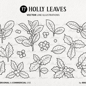 Christmas Holly Vector Clipart Bundle. Mistletoe SVG Leaves. Xmas Line ...