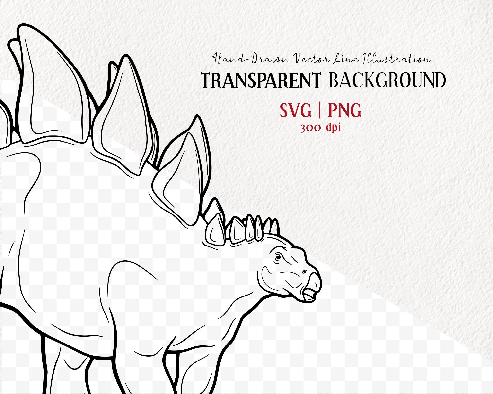 Stegosaurus Dinosaur Vector Clipart. Hand-drawn Dino Line Art. Jurassic ...