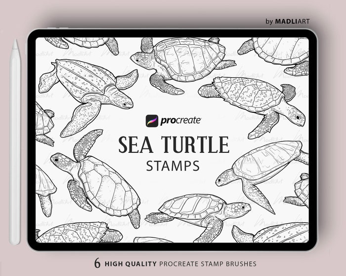 Turtle Stamp - Etsy