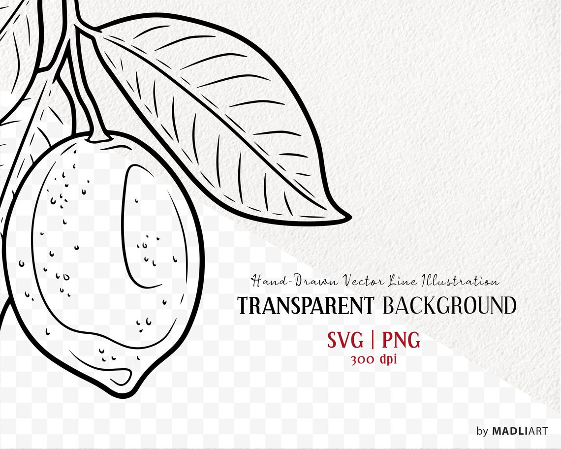 Lemon SVG Clipart. Vector Lemon. Lemon Tree Fruits. Citrus - Etsy