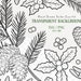 43 Winter Greenery Vector Clipart Bundle. Christmas Evergreen Plants ...