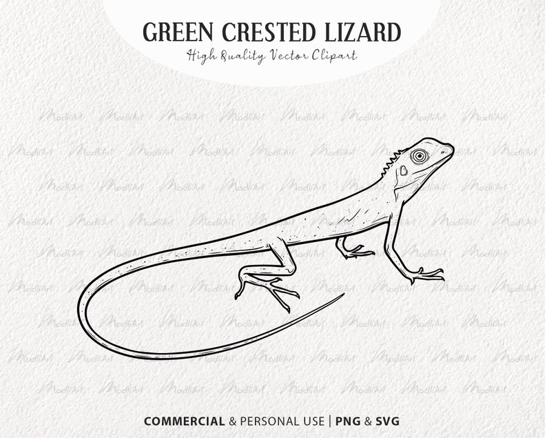 Green Crested Lizard SVG Clipart. Snake Lizard Vector Drawing. Tropical ...