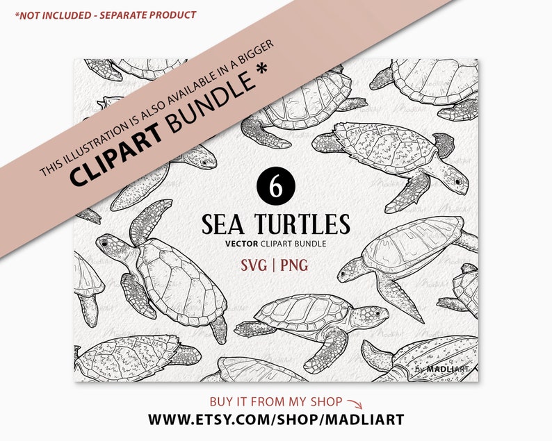 Tortuga Carey SVG Clip Art. Arte de línea vectorial de tortugas marinas ...