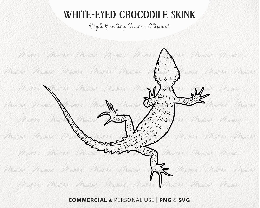 White-eyed Crocodile Skink SVG Clipart. Snake Like Lizard Vector ...