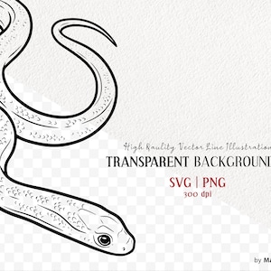 Black Kingsnake SVG Clipart. Snake Vector Drawing. Cobra Tattoo Design ...