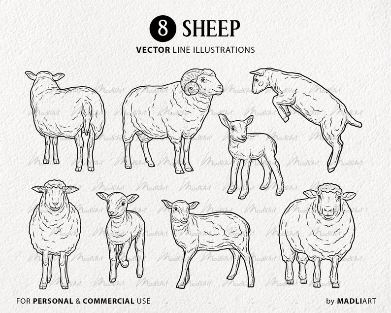 Sheep SVG Clipart Bundle. Lamb Vector Line Art. Farm Animal Drawing ...