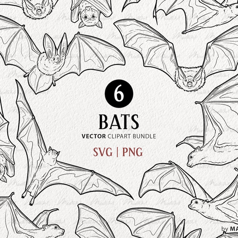 Flying Bat Line Drawing - Etsy