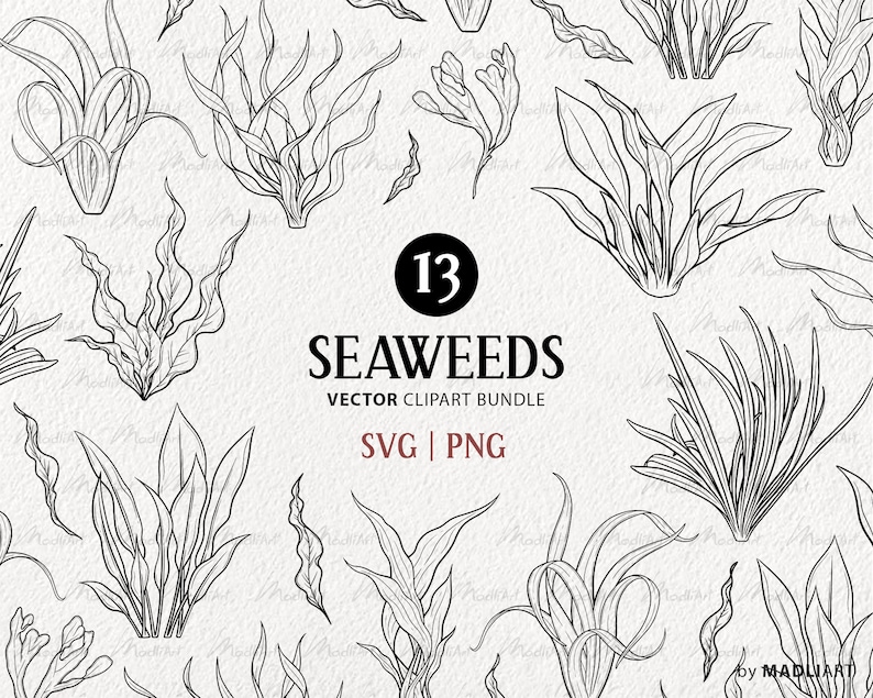 13 Seaweeds Clipart Bundle. Ocean Plants Vector Artwork. Underwater ...