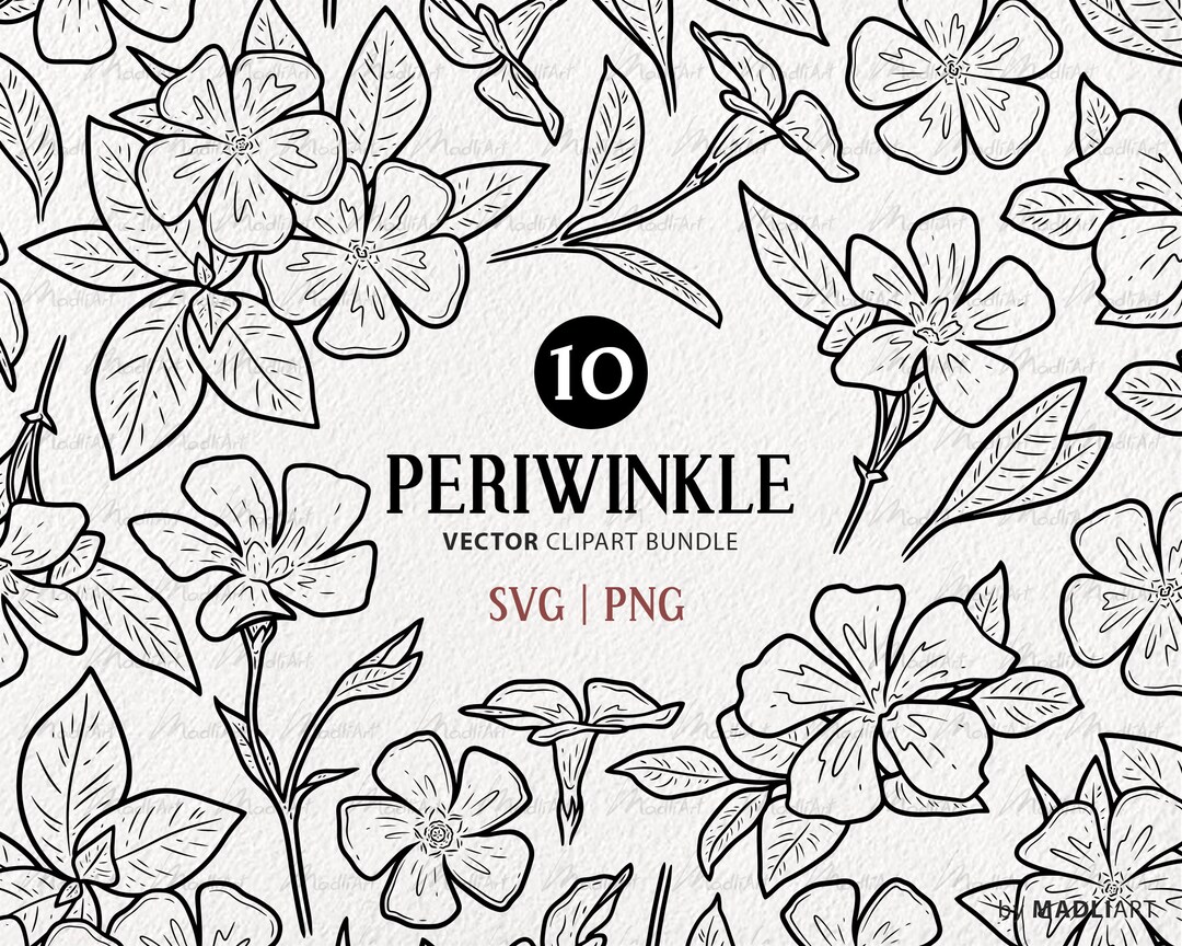 10 Periwinkle SVG Clipart Bundle. Spring Flower Blossoms. Periwinkle ...