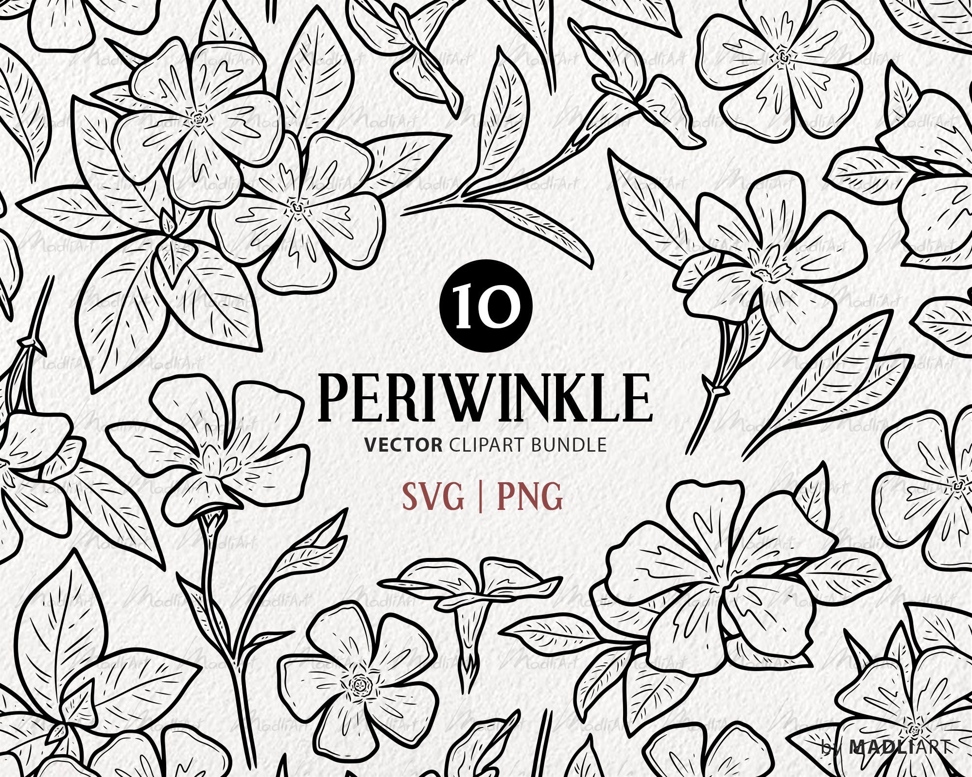 10 Periwinkle SVG Clipart Bundle. Spring Flower Blossoms. Periwinkle Vector Drawing. Wildflower ...