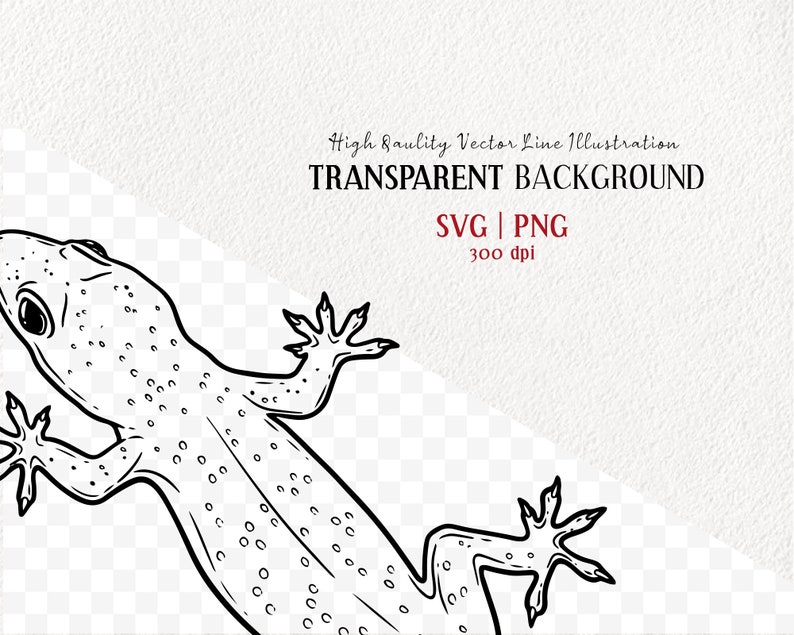 Gecko SVG Clipart. Lizard Vector Drawing. Leopard Gecko, Crested Gecko ...