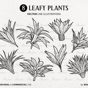 Leafy Plant SVG Clipart Bundle. 8 Vector House Plant Line Drawings ...