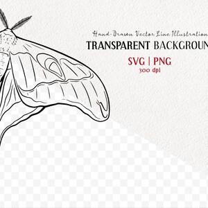 Hercules Moth SVG Clip Art. Hand Drawn Butterfly Vector Line Drawing ...