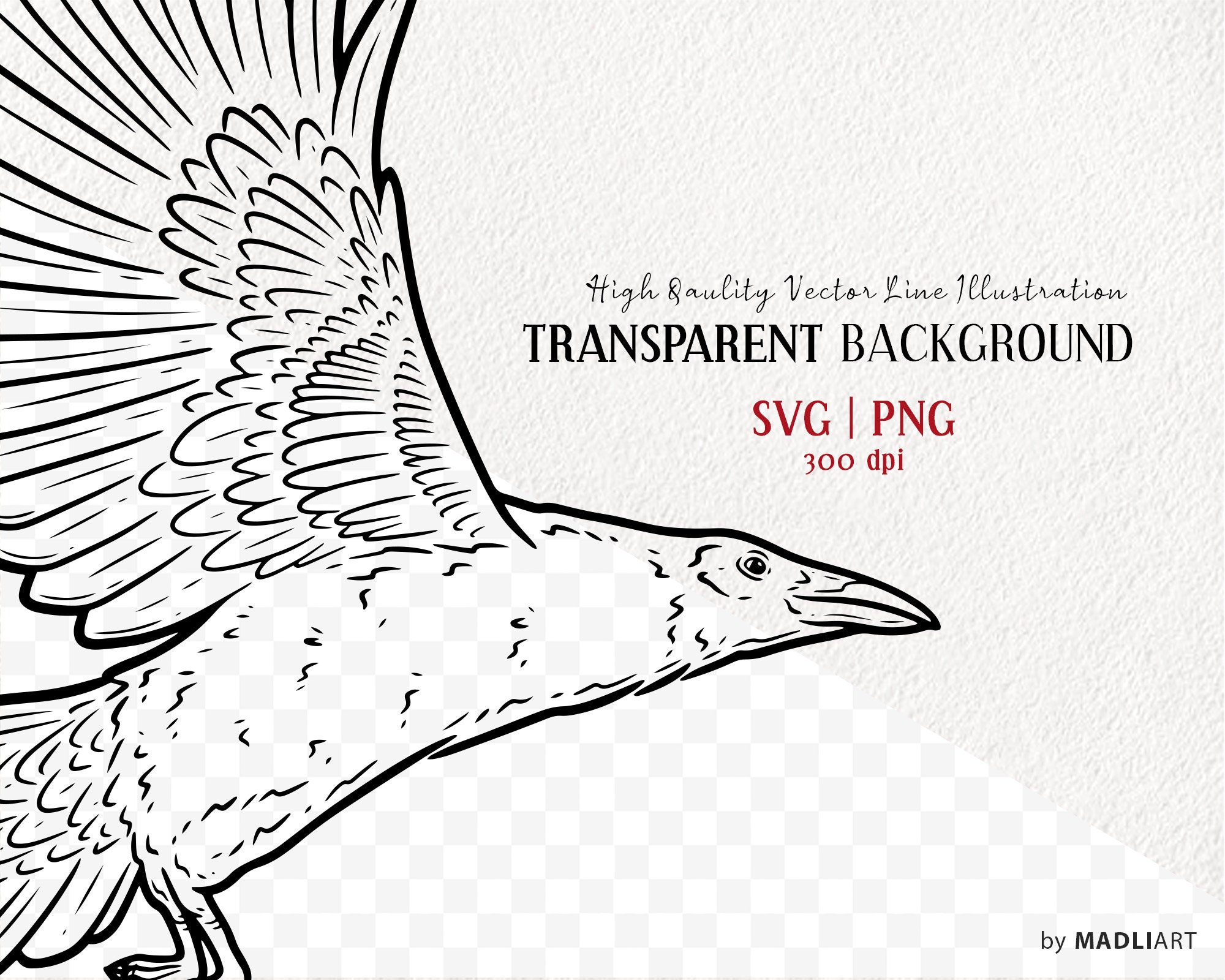 Raven SVG Clipart. Crow Vector Line Drawing. Halloween Crow - Etsy