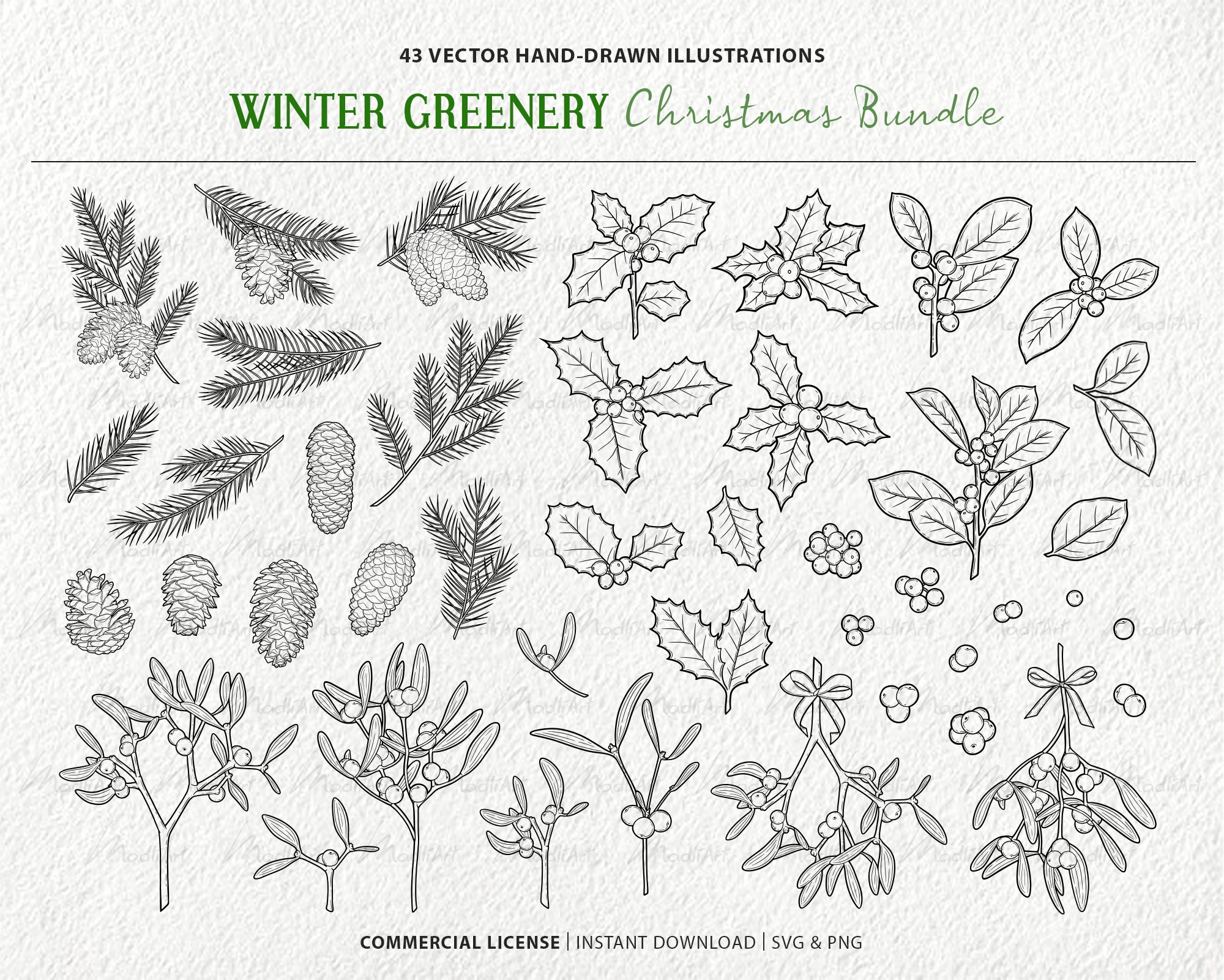 43 Winter Greenery Vector Clipart Bundle. Christmas Evergreen - Etsy