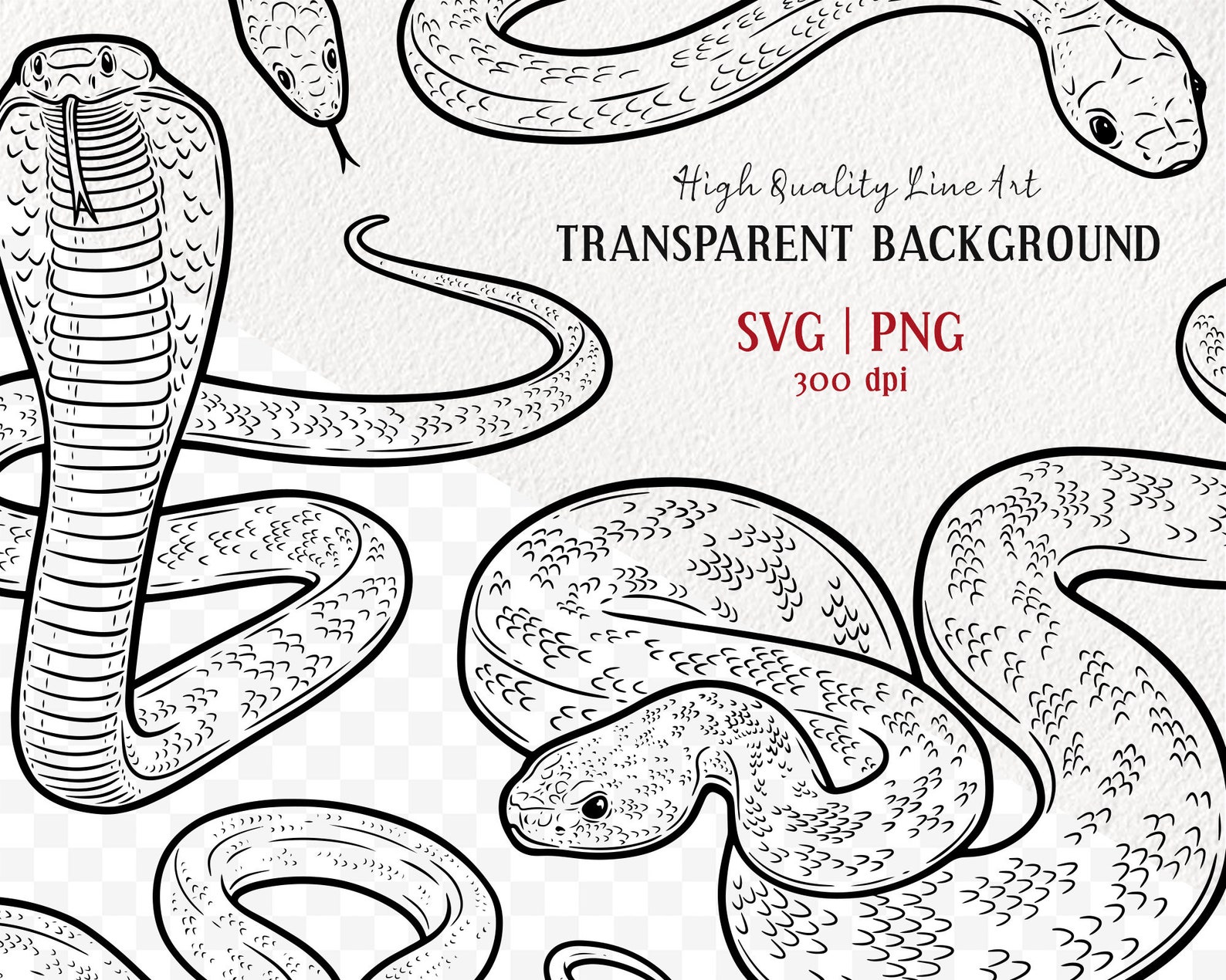 7 Snakes SVG Clipart Bundle. Cobra Vector Drawings. - Etsy