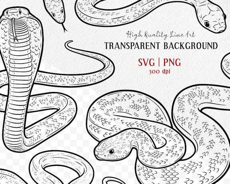 7 Snakes SVG Clipart Bundle. Cobra Vector Drawings. Rattlesnake Tattoo ...