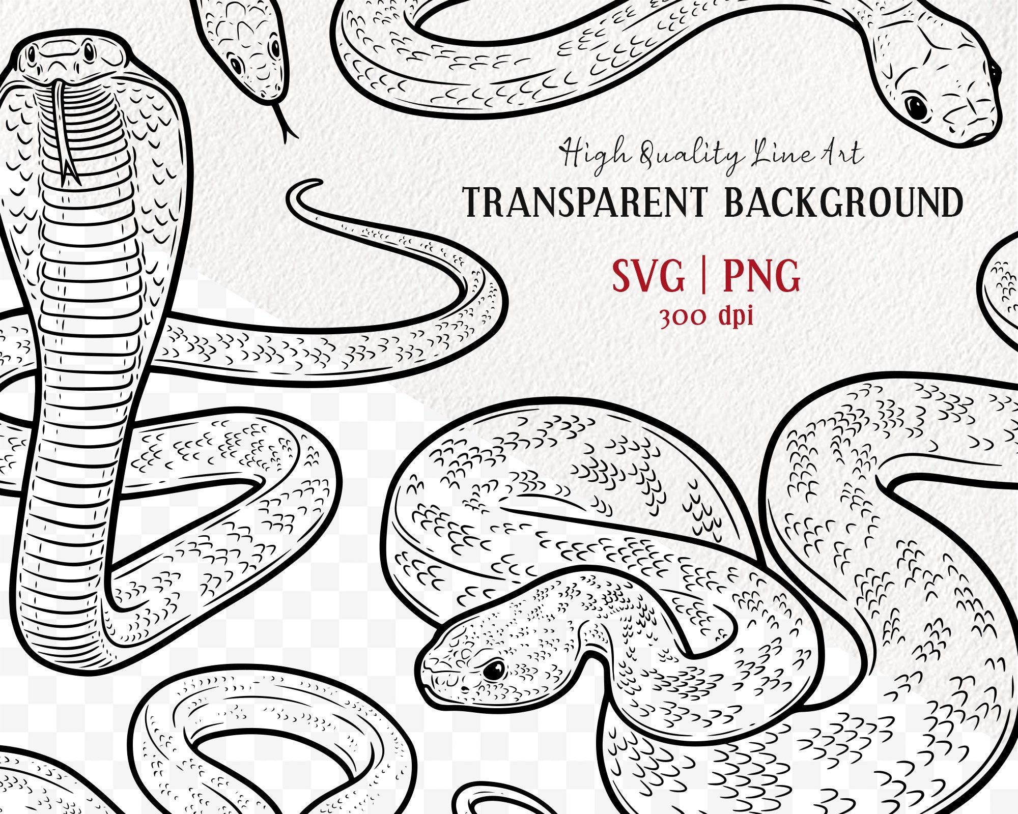 7 Snakes SVG Clipart Bundle. Cobra Vector Drawings. Rattlesnake Tattoo ...