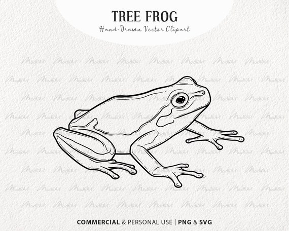 Tree Frog Line Drawing