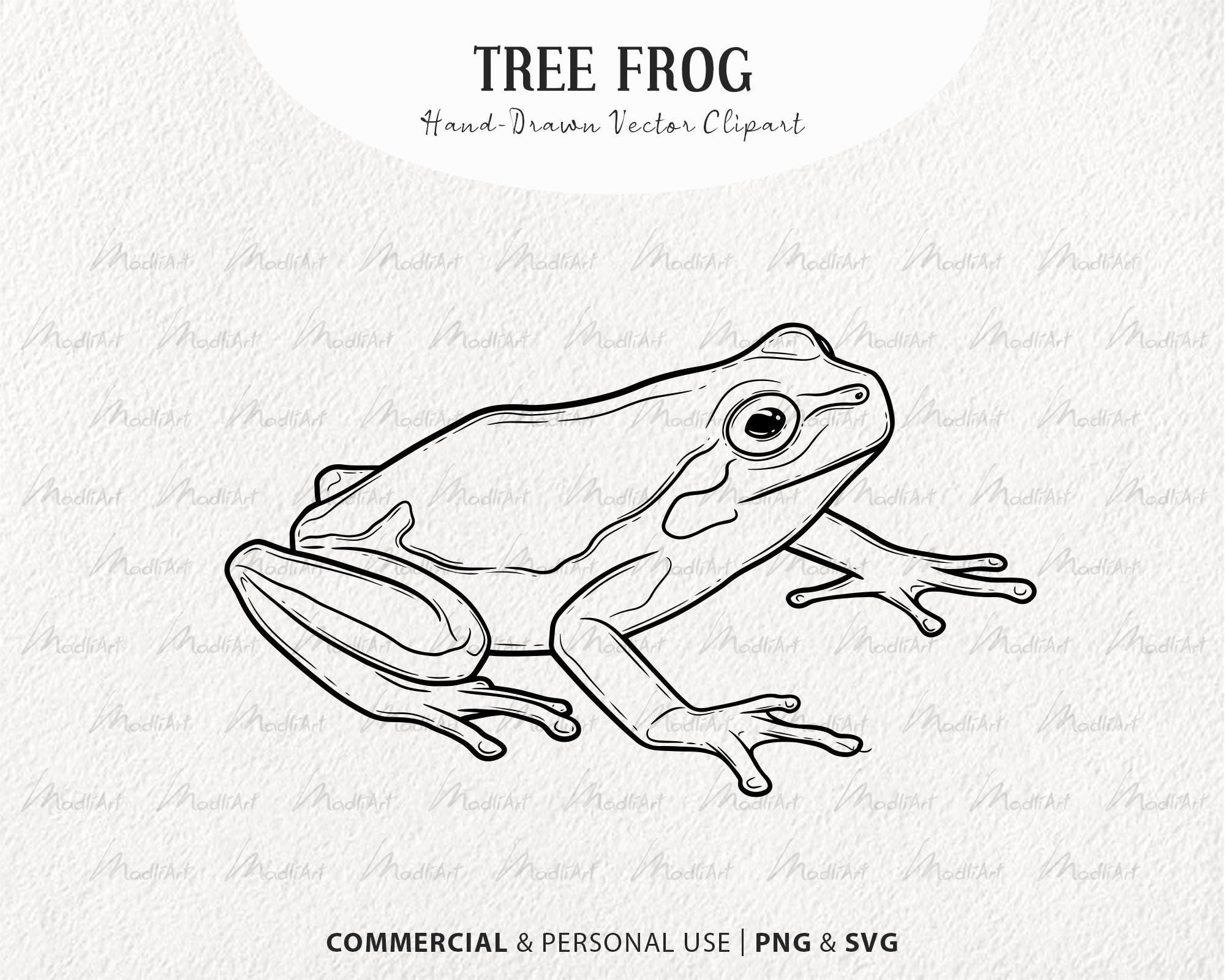 Tree Frog Drawing