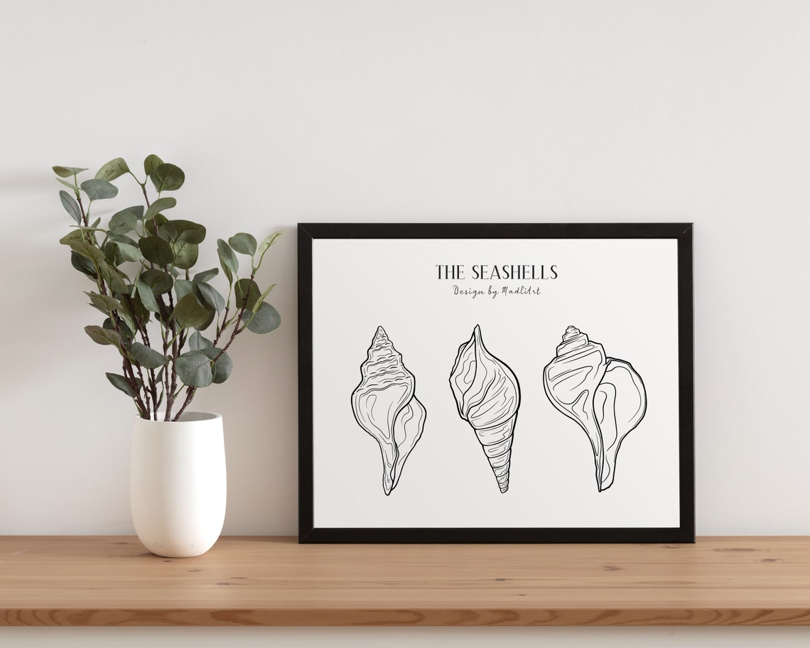 Seashell SVG Clipart Bundle. 10 Ocean Themed Vector Line - Etsy