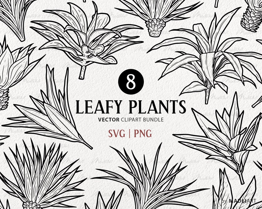 Leafy Plant SVG Clipart Bundle. 8 Vector House Plant Line Drawings ...