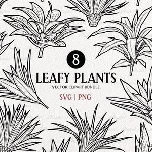 Leafy Plant SVG Clipart Bundle. 8 Vector House Plant Line Drawings ...