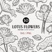 10 Lotus Flower SVG Bundle. 4 Water Lily Clipart Line Drawings. Lotus ...