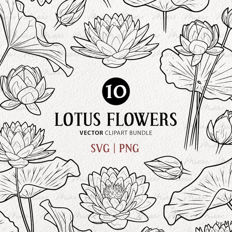 Lotus Outline - Etsy