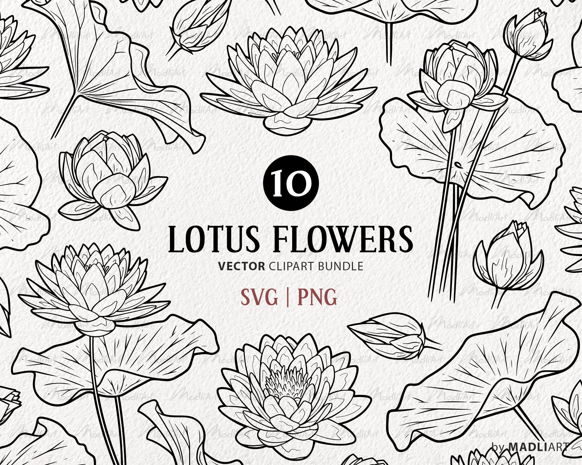 10 Lotus Flower SVG Bundle. 4 Water Lily Clipart Line Drawings. Lotus ...