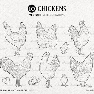Chicken SVG Clipart Bundle. Hen Rooster Baby Chick Vector Art. Farm ...