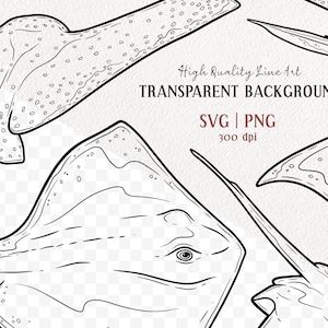 Ray Fish Clipart Bundle. Sea Creature Vector Line Art. Ocean Animals ...